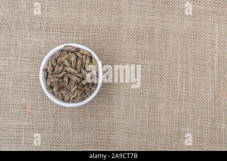Edible insects - salted Small Crickets possibly Gryllus assimilis - on ...