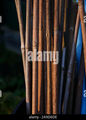 Bamboo canes and blue plastic water pipe cut into pieces seen in a ...