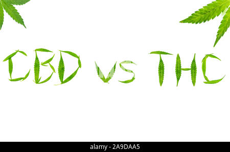 Cannabis Leaves on white forming CBD letters, medical marijuana concept ...