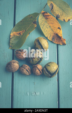 Lots of walnuts. Walnuts are drying in the sun. Focus in the foreground ...