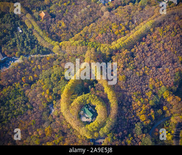 Nanjing, China. 14th Nov, 2019. A huge necklace which was made by ...