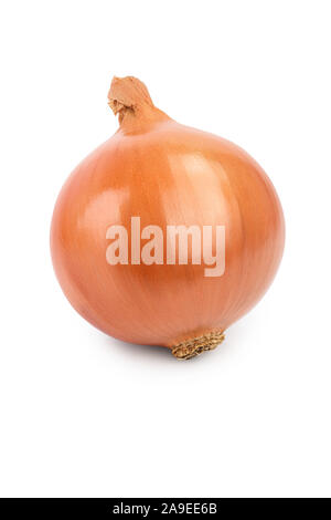 One fresh unpeeled onion on white background Stock Photo - Alamy