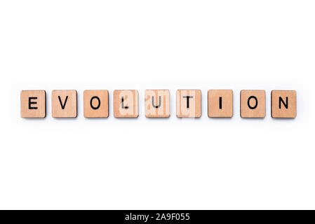 The word EVOLUTION, spelt with wooden letter tiles over a plain white ...