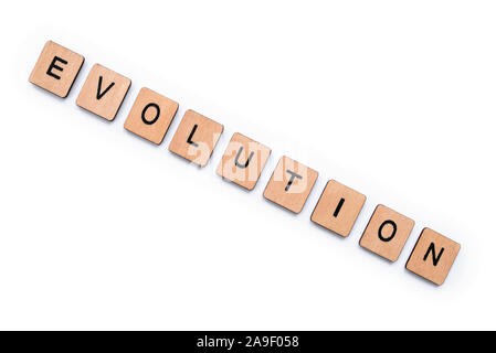 The word EVOLUTION, spelt with wooden letter tiles over a plain white ...