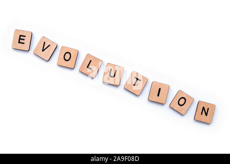 The word EVOLUTION, spelt with wooden letter tiles over a plain white ...
