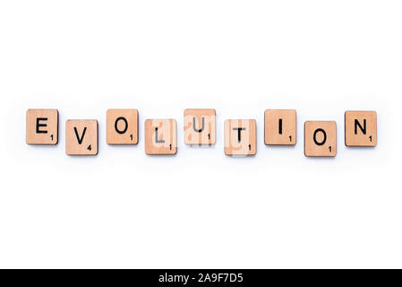 The word EVOLUTION, spelt with wooden letter tiles over a plain white ...