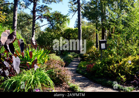 Tyler Rose Festival at the Municipal Rose Garden, Tyler, Texas Stock ...
