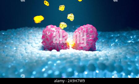 Transmembrane protein transporter, illustration Stock Photo - Alamy