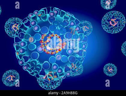 Bluetongue virus structure, illustration Stock Photo - Alamy