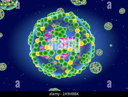 Enterovirus structure, illustration Stock Photo - Alamy