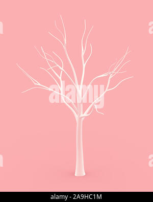 Christmas tree branches on wood. Holiday design for Xmas 2022 New Year ...