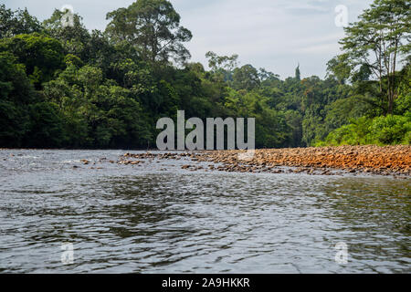 Temburong River, Virgin Rainforest, Ulu Temburong National Park, Brunei ...