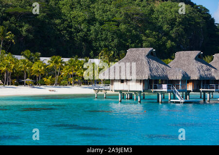 authentic traditional Polynesian houses with thatched roof above the ...