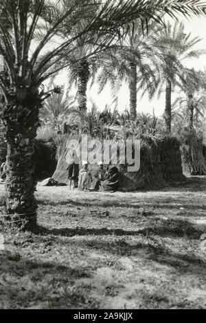 Huts in the oasis, Libya Stock Photo - Alamy