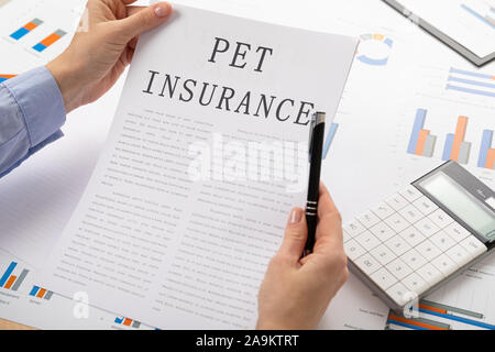 pet insurance, documents on the desktop Stock Photo - Alamy