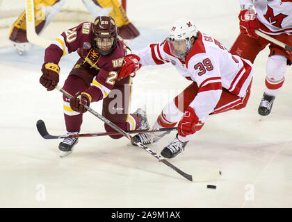 November 15, 2019: Minnesota Duluth's Nick Swaney during an NCAA hockey ...