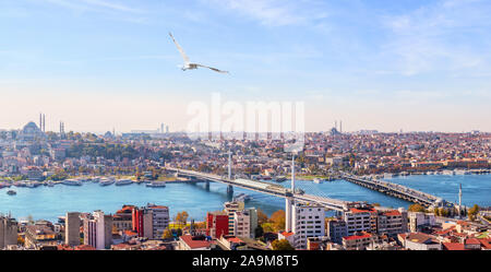Beautiful Galata and Ataturk bridges with a cityscape and water with ...