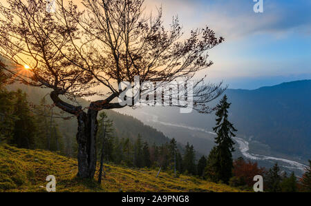 Sonnenuntergang mit Blick auf das Bonner Rheinufer, im Hintergrund ist ...