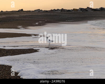 peaceful North Sea landscape with small waves and stone pier Stock ...