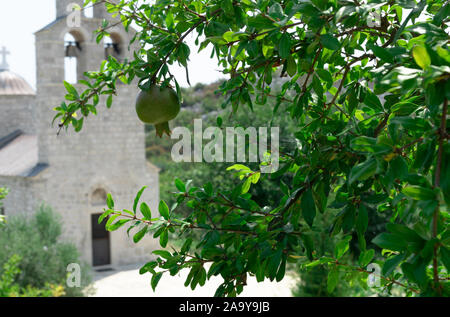 Female at Lake Skadar, Montenegro Stock Photo - Alamy