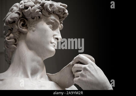 Florence, Italy - 2019, November 10: The original David marble statue ...