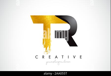 TR Letter Design with Brush Stroke and Modern 3D Look Vector ...