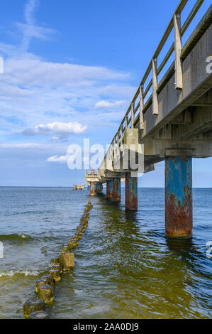 Wooden groynes covered with yellow-green algae (Xanthophyceae Stock ...