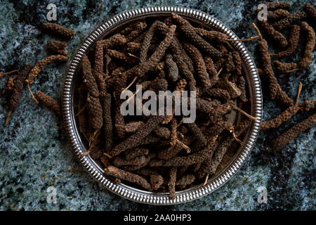 Pippali (Long pepper) - Thippali or Pippalli, India, Asia Stock Photo ...