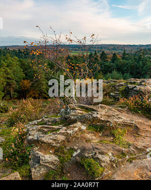 Devils Jumps Churt Sunset Stock Photo - Alamy