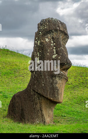 Leaning head at Rano Raraku moai quarry on Easter Island Stock Photo ...