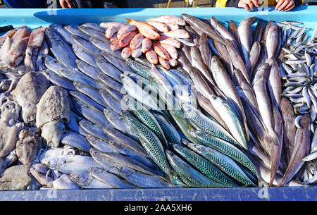 Fresh fish for making bouillabaisse soup for sale at a fish market on ...