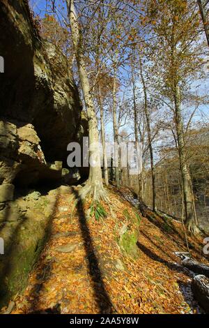 Hemlock Cliffs in Autumn, Indiana Stock Photo - Alamy