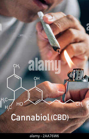 cropped view of man lighting up blunt with medical cannabis near cbd ...