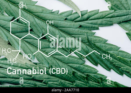 close up view of medical marijuana leaf on white background with cbd ...