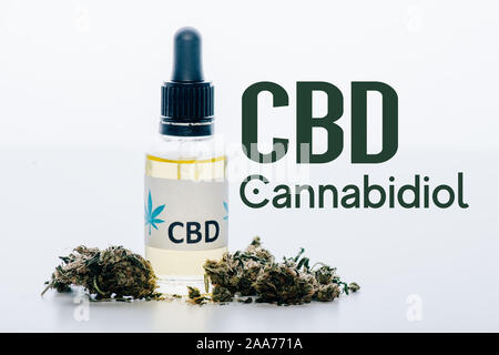 cbd oil in bottle near medical marijuana buds isolated on white with ...