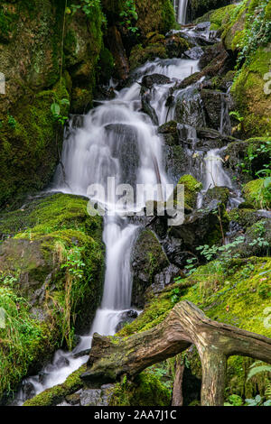 Water cascade near Burrator reservoir Dartmoor UK panoramic photography ...