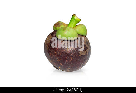 single mangosteen on white background Stock Photo - Alamy