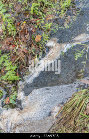 Foam line / foam collecting on freshwater drainage stream. Metaphor ...