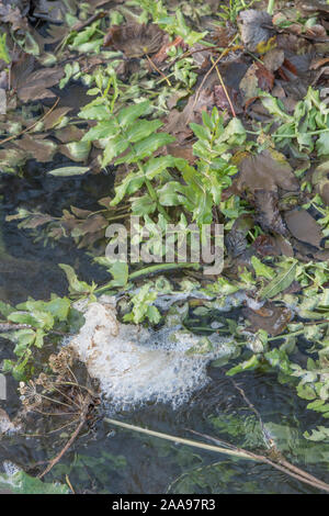Foam line / foam collecting on freshwater drainage stream. Metaphor ...