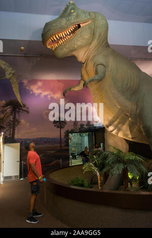 African display - Springfield Science Stock Photo - Alamy