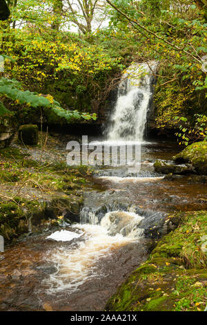 Waterfall in Deepdale in the Yorkshire Dales National Park Stock Photo ...