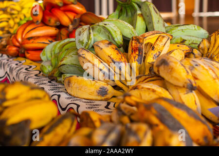 Different types and species of banana. Red, yellow, green bananas in ...