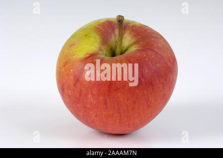 Apple / (Malus domesticus) / Apfel / innen, Studio, indoor Stock Photo ...