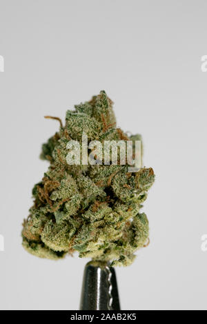 Cannabis medical bud super lemon haze close up stoned time high moments ...