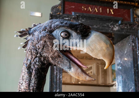 Model of a terror bird. Phorusrhacids, colloquially known as terror ...
