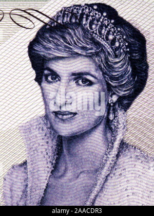 Diana, Princess of Wales a portrait from Welsh collector's money Stock ...