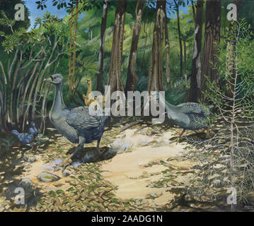 Illustration of a Rodrigues solitaire, Pezophaps solitaria, by Francois ...