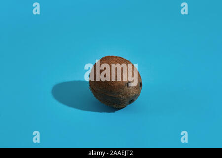 Whole coconuts with shadow on blue background Stock Photo - Alamy
