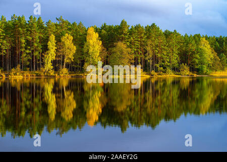 Beautiful autumn landscape. View of Kingari lake. Latvian nature ...