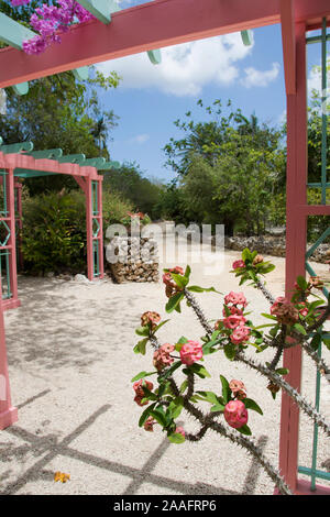 The Queen Elizabeth II Botanic Gardens Grand Cayman Stock Photo - Alamy